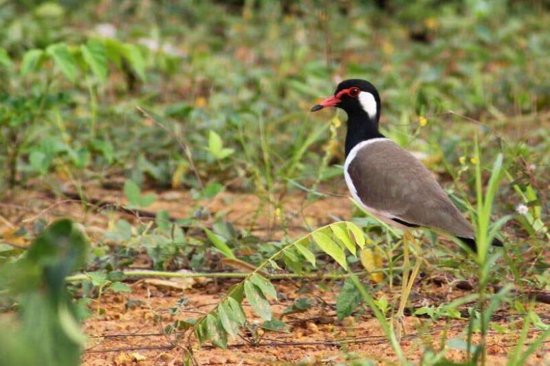 Johor: Desaru Coast Cycling - Who Should Consider This Tour?