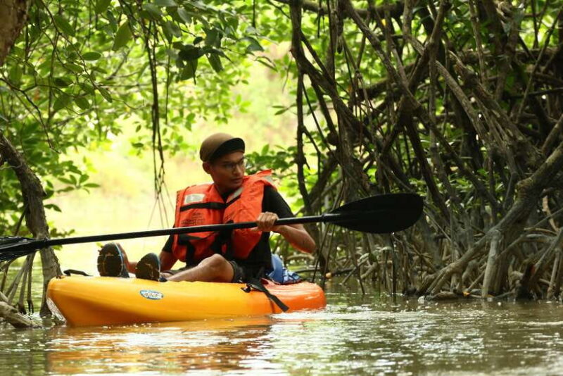 Johor: Sungai Lebam Kayaking with Transfer - The Experience Breakdown: What You Can Expect