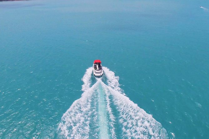 Join Half Day Coral Island with Indian Lunch - The Real-World Feedback: What Travelers Say