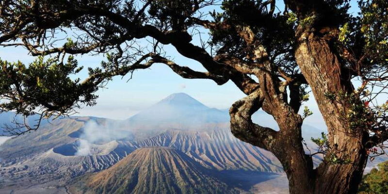 Join in Trip Bromo From Malang - The Journey to the Volcano