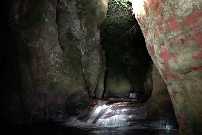 Join the Dark Side of Magical Nature - The Experience and Practical Details