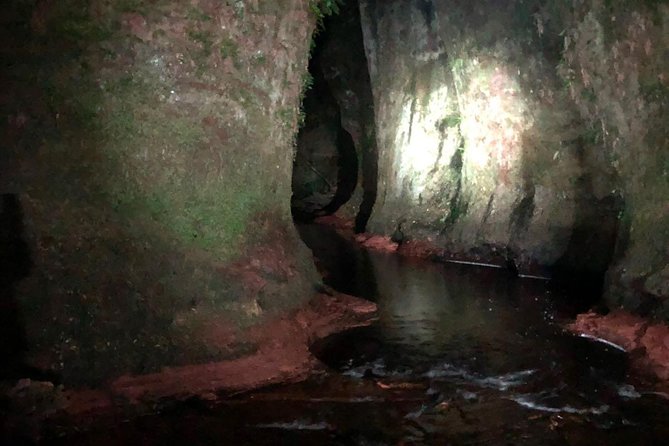 Join the Dark Side of Magical Nature - Authenticity and Traveler Feedback