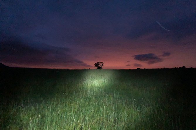 Join the Dark Side of Magical Nature - What Makes This Tour a Good Choice?