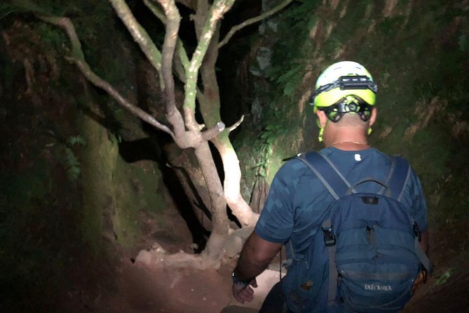 Join the Dark Side of Magical Nature - Who Should Consider This Tour?