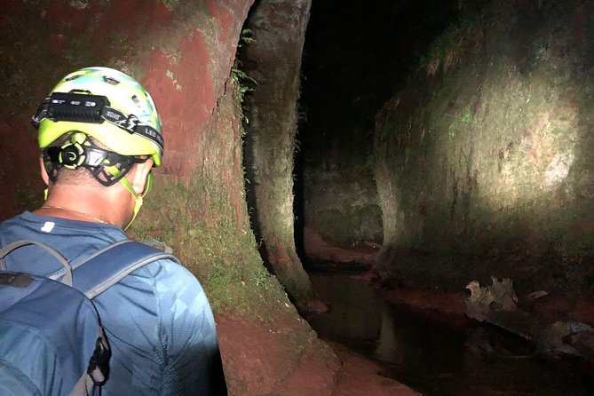 Join the Dark Side of Magical Nature - The Sum Up