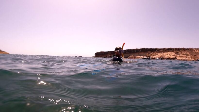 Join us on a snorkel boat tour - The Sum Up: Is It Worth It?