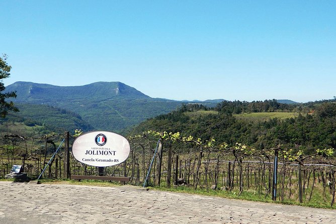 Jolimont Winery Tour - Visitation and Tasting - Canela RS - Pricing and Booking Options