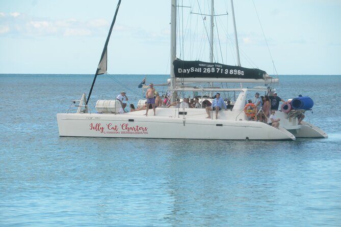Jolly Cat Charters- Snorkel-Swim- Private Charter-Fun! - Marine Life and Reef Experience