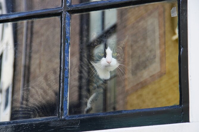 Jordaan District Walking Tour in German - Who Will Love This Tour?