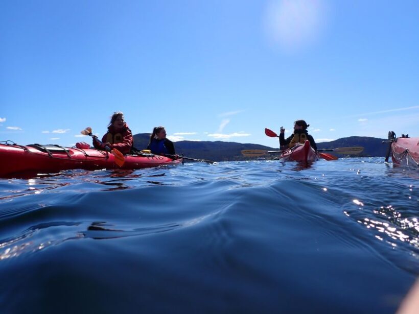 Jørpeland: Guided fjordtour kayak - FAQ