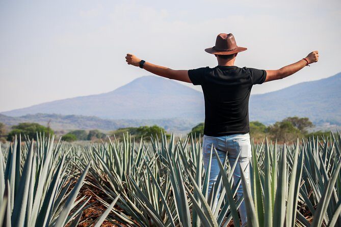 José Cuervo Tequila Day Experience from Guadalajara - An Introduction to the Tour