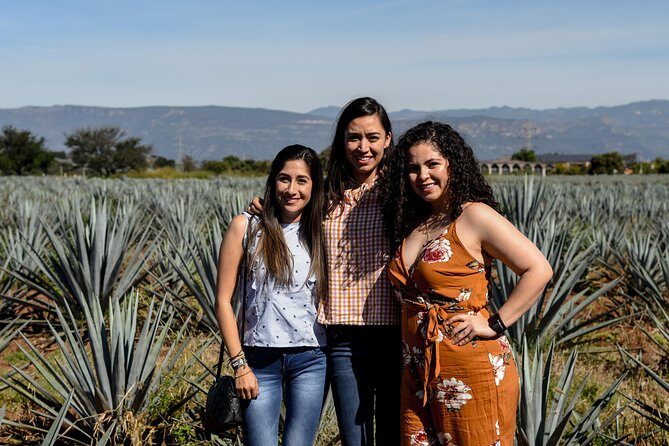 José Cuervo Tequila Day Experience from Guadalajara - Suitable for Different Travelers