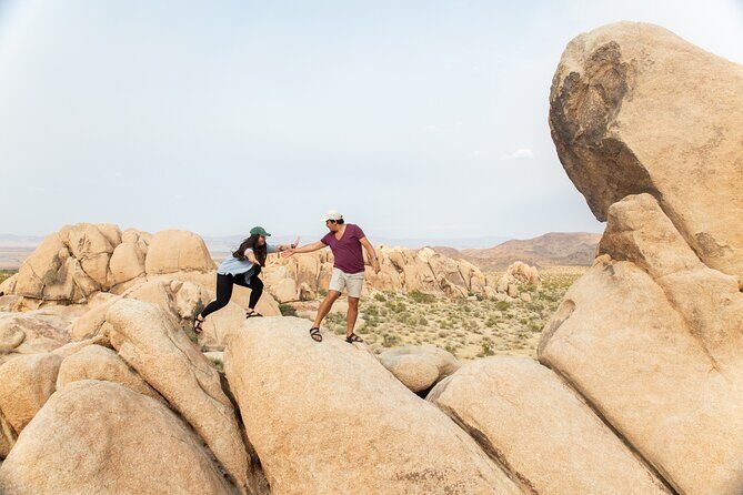 Joshua Tree Full Day Private Tour and Hike - Introduction