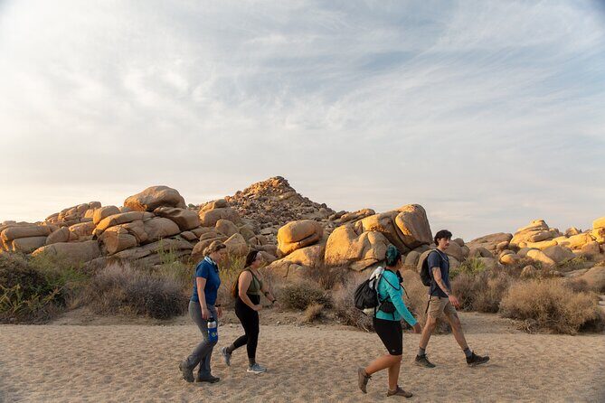 Joshua Tree Full Day Private Tour and Hike - Comprehensive Review of the Joshua Tree Full Day Private Tour and Hike