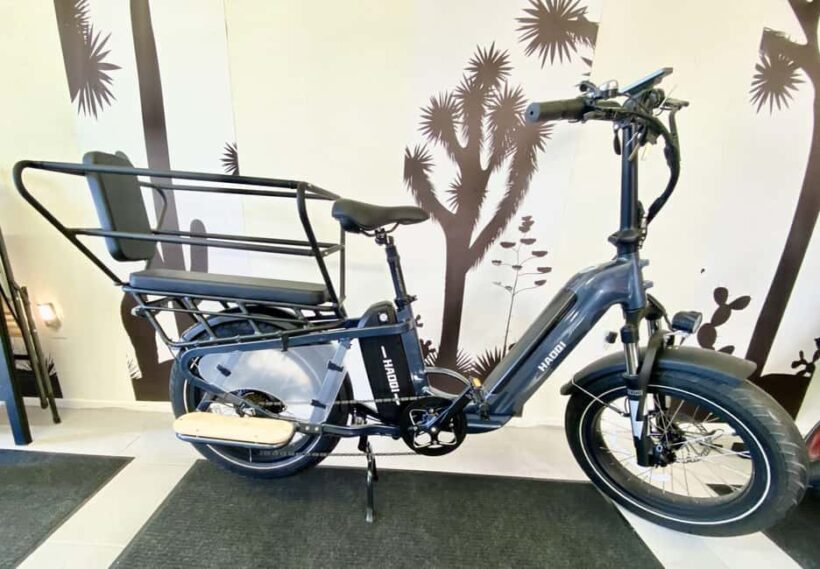 Joshua Tree National Park: E-Bike Rental - The Ride: What to Expect