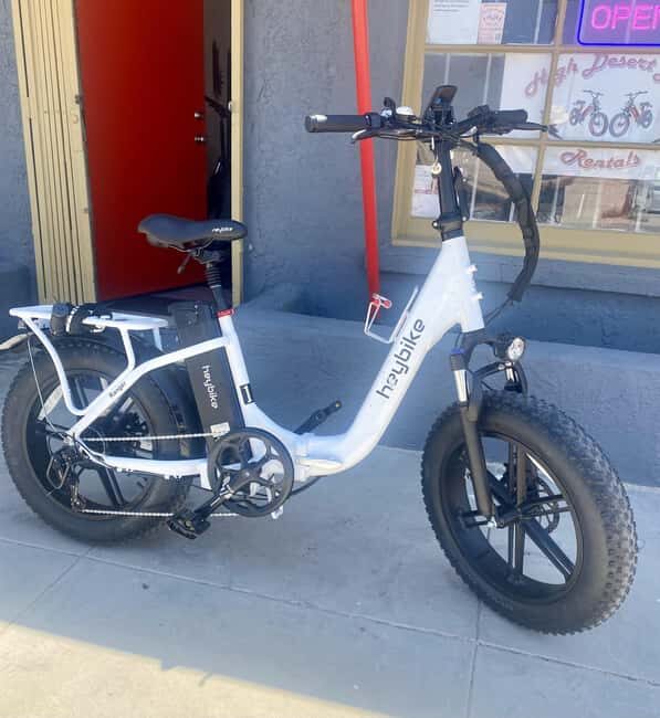 Joshua Tree National Park: E-Bike Rental - Who Will Enjoy This Experience?