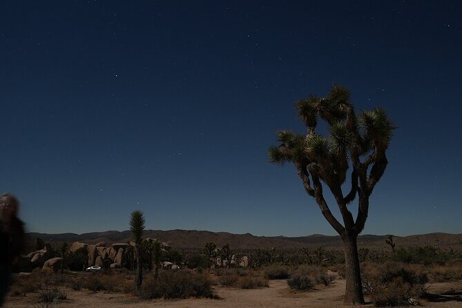 Joshua Tree National Park Private Adventure from Los Angeles - Key Points