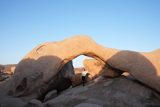 Joshua Tree National Park Private Adventure from Los Angeles - A Thorough Look at What You Can Expect