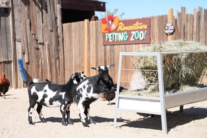 Joshua Tree National Park Private Adventure from Los Angeles - Who Will Love This Experience?