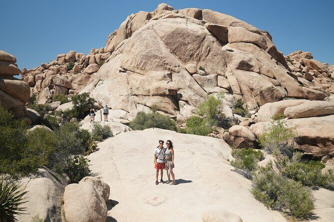 Joshua Tree National Park Private Adventure from Los Angeles - Final Thoughts