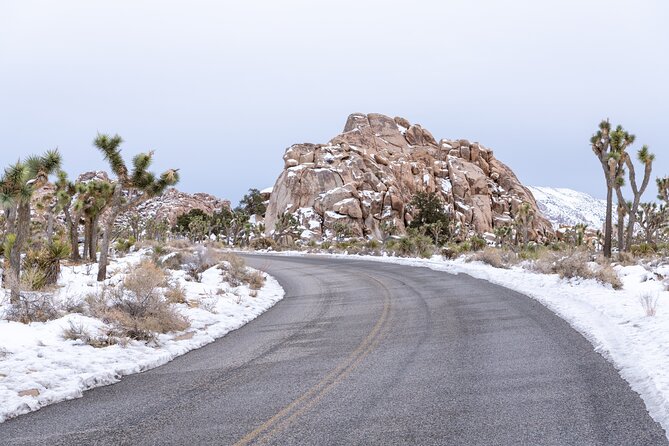 Joshua Tree National Park Self-Guided Driving Audio Tour - FAQ