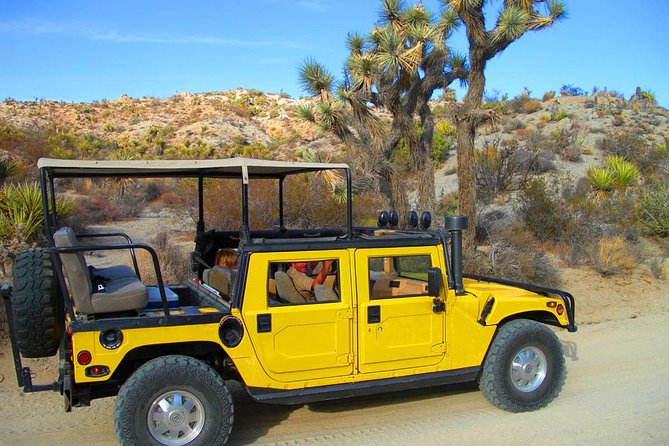 Joshua Tree Open Air Hummer Adventure - What’s Included and What You Should Know