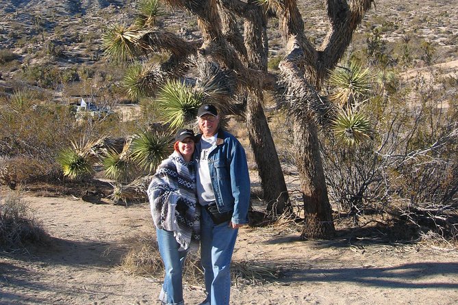 Joshua Tree Open Air Hummer Adventure - Authentic Experiences and Practical Insights