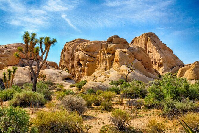 Joshua Tree's Hidden Valley Self-Guided Walking Tour - The Itinerary Breakdown