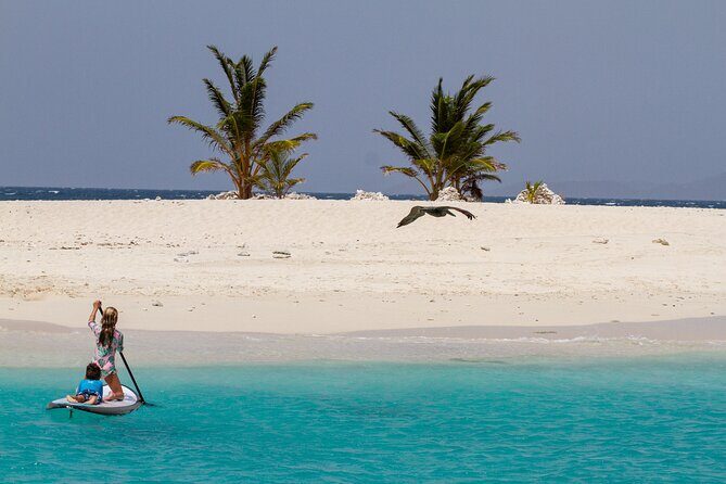 Jost Van Dyke - Soggy Dollar & Sandy Spit Sailing Tour in the BVI - An In-Depth Look at the Tour Experience