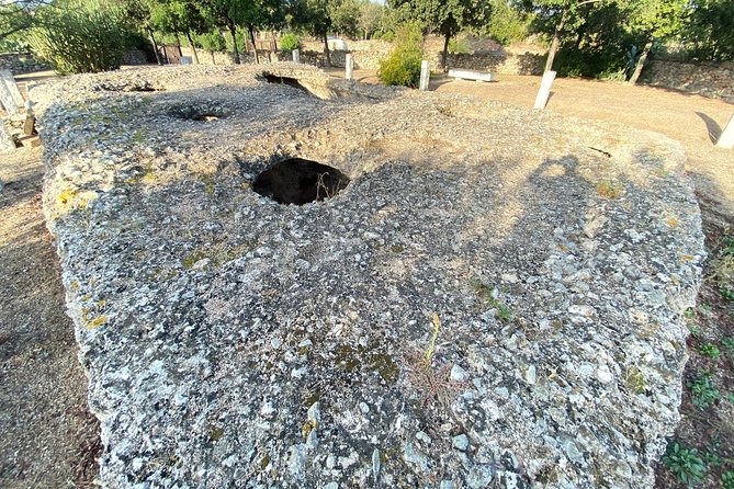 Journey by Tuk-Tuk - Discover the Ancient Treasures of Sardinia - The Tuk-Tuk Experience: Navigating the Streets of Olbia