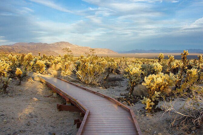 Journey into Joshua Tree Audio Tour and Locals Guide - The Sum Up