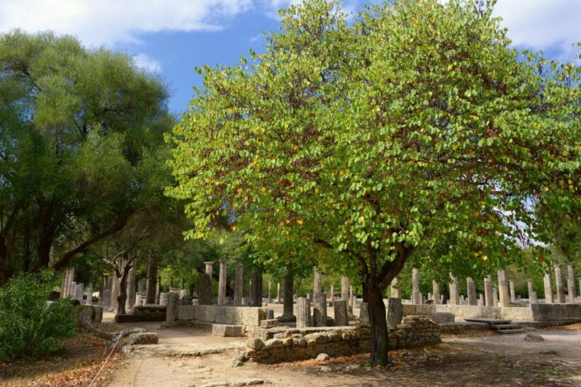 Journey of Legends - Ancient Olympia & Marble Art - What Travelers Are Saying