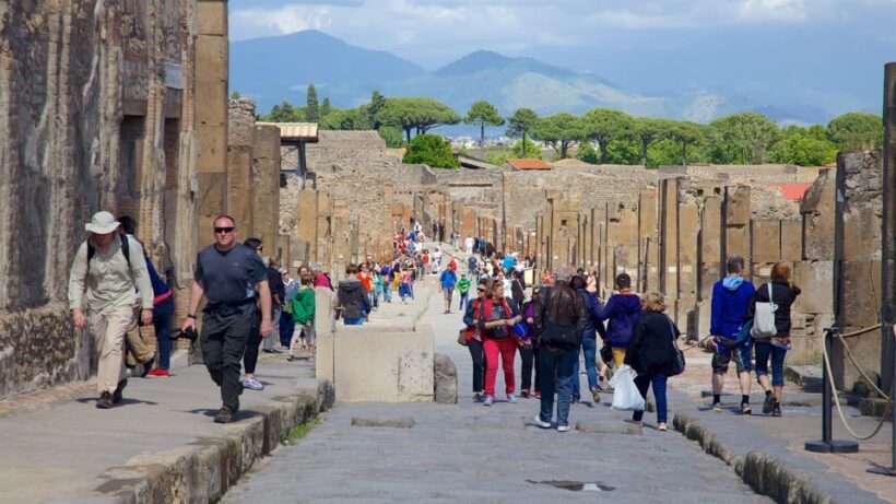 Journey Through Pompeii & Vesuvius: History, Ruins and Lava - Who Is This Tour Best For?