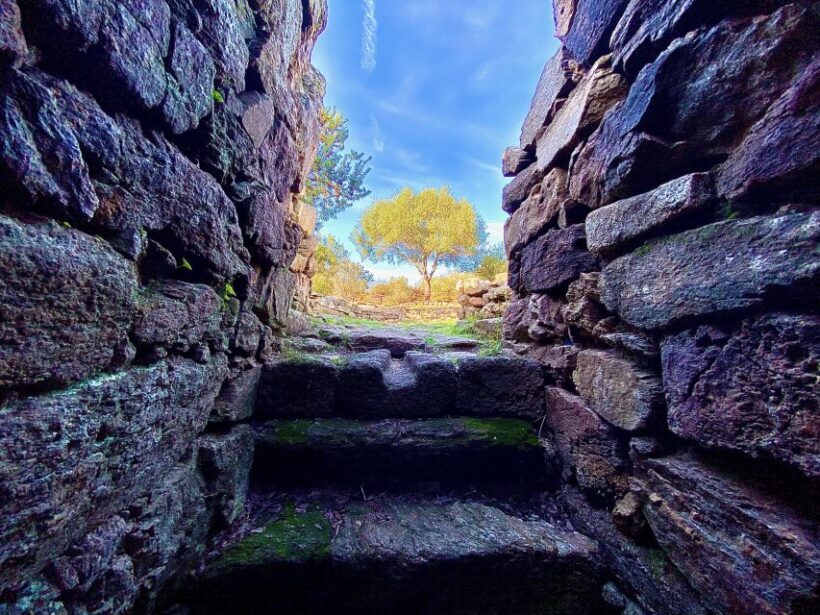 Journey Through Time - Discover Sardinia's Ancient Treasures - Who Should Book This Tour?