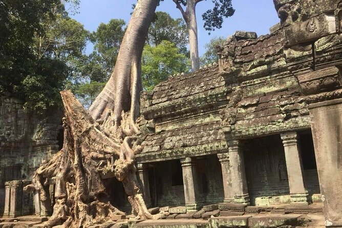 Journey Through Time: Grand Tours with professional photographers - Who Should Book This Tour?