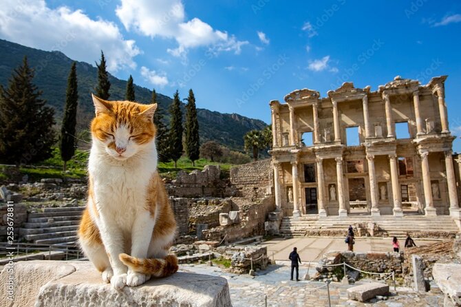 Journey to Ancient Wonders: Explore Ephesus With a Private Tour - Customizing Your Ephesus Adventure: Tips and Insights