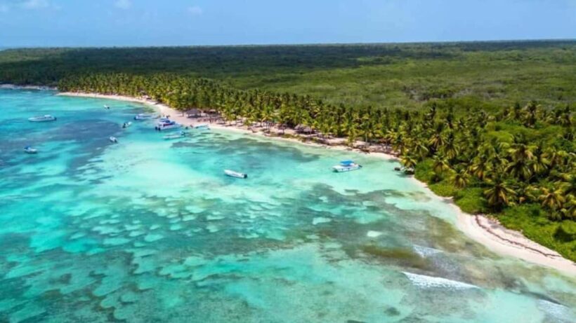 Juan Dolio: Saona Island Day Trip with Lunch & Open Bar - The Full Experience: What to Expect on Your Saona Island Trip