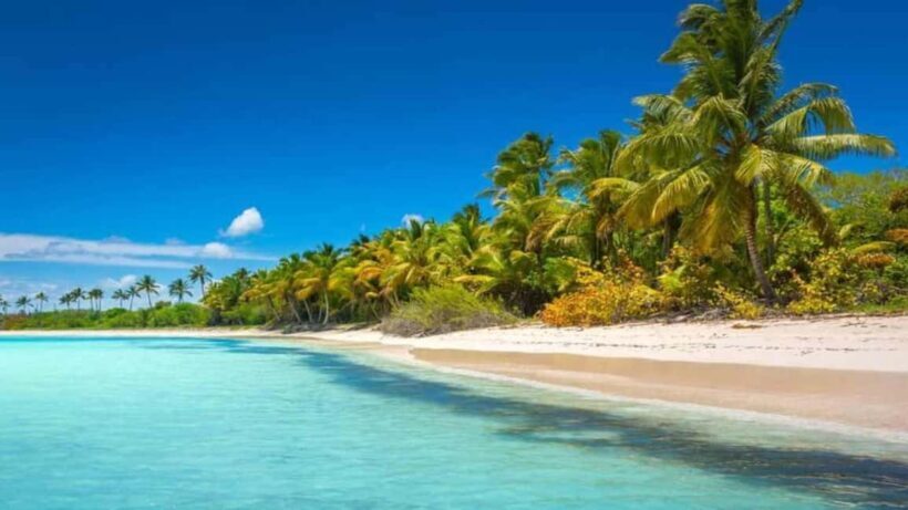 Juan Dolio: Saona Island Day Trip with Lunch & Open Bar - Practical Details and Tips for Travelers