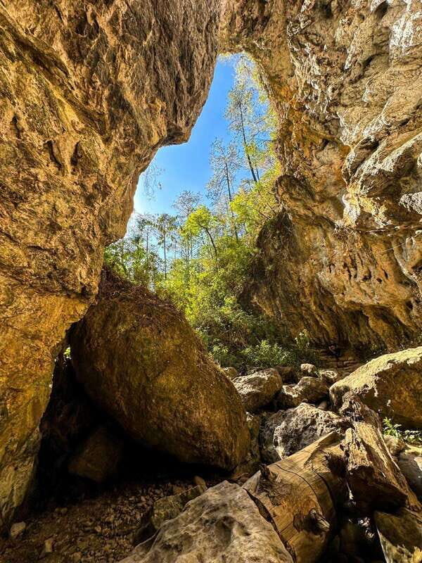 Juárez Highlands: Ecotourism and Workshop Experience - Practical Tips for Booking and Enjoying