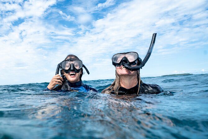 Julian Rocks: Premier Snorkeling Tour Byron Bay - The Sum Up: Is This Tour Worth It?