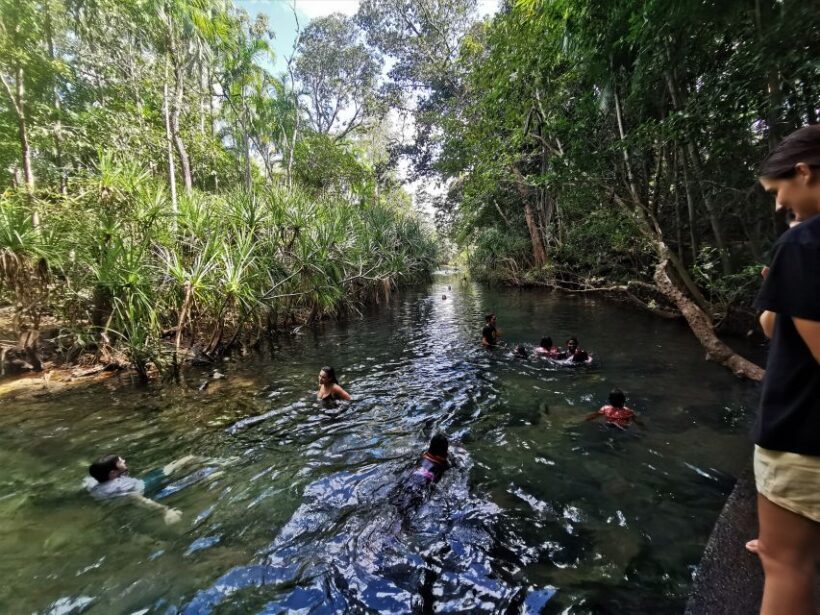 Jumping Croc Cruise, Berry Springs,Fogg Dam & Humpty Doo Pub - Exploring the Top End: A Day in the Wilderness