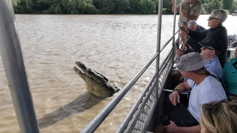 Jumping Croc Cruise, Berry Springs,Fogg Dam & Humpty Doo Pub - Final Word