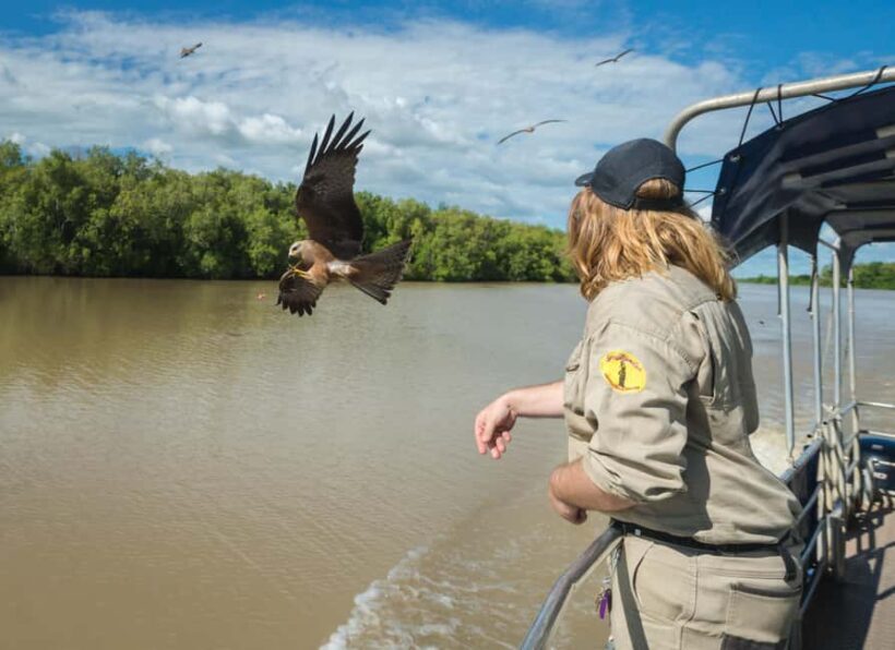 Jumping Crocodile Cruise from Darwin Half-Day Scenic Trip - Who Should Consider This Tour?