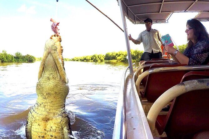 Jumping Crocodile Cruise with lunch - Potential Drawbacks and Considerations