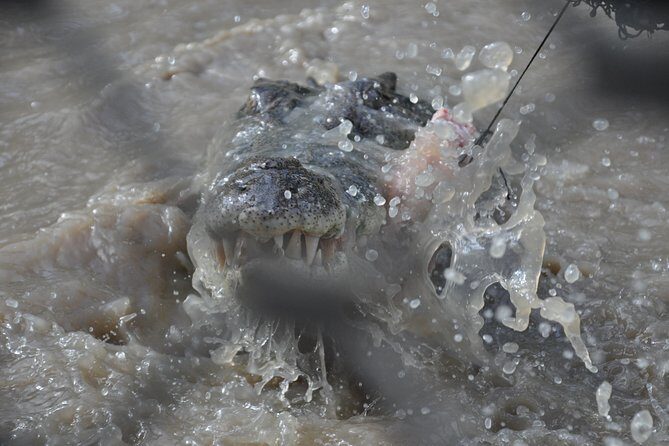 Jumping Crocodile Cruise with lunch - Final Thoughts