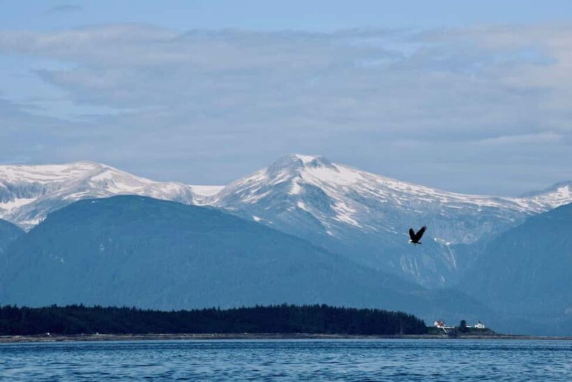 Juneau: 3.5-Hour Small Group Whale Watching Tour - FAQ