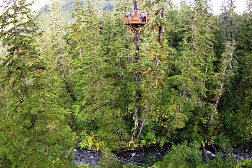 Juneau: Alpine Zipline Adventure - An In-Depth Look at the Juneau Alpine Zipline Adventure