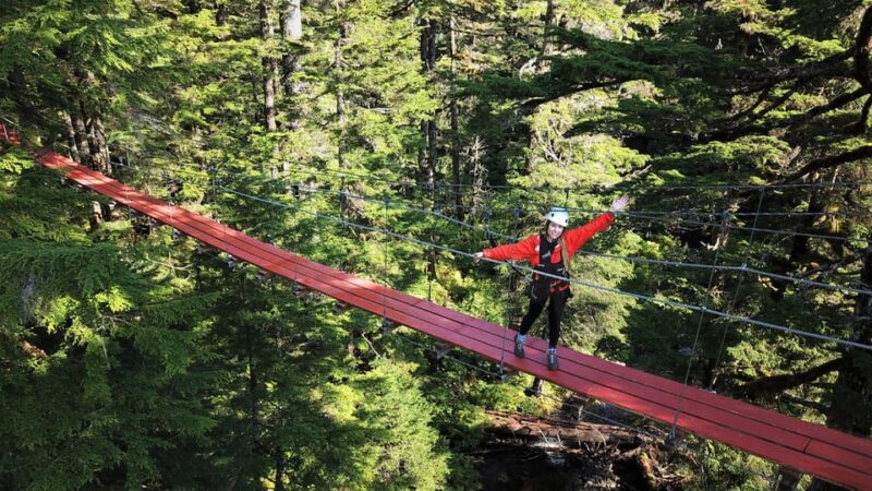 Juneau: Alpine Zipline Adventure - Authentic Experiences and Authentic Guides
