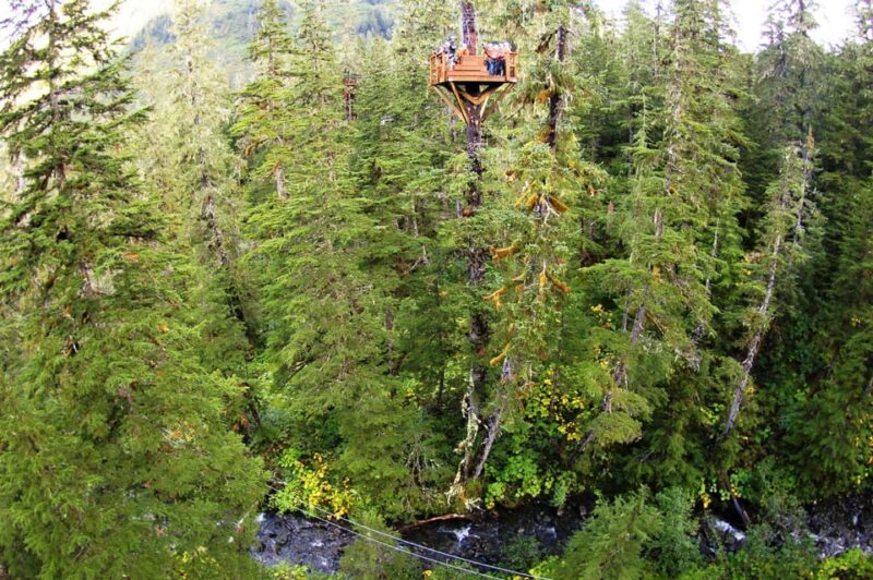 Juneau: Alpine Zipline Adventure - Who Is This Tour Best For?