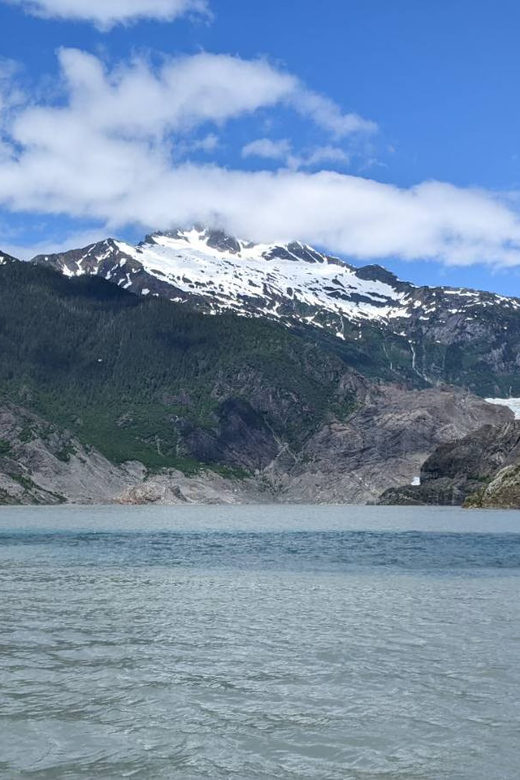 Juneau: Mendenhall Glacier Waterfall & Whale Watching Tour - Detailed Breakdown of the Itinerary